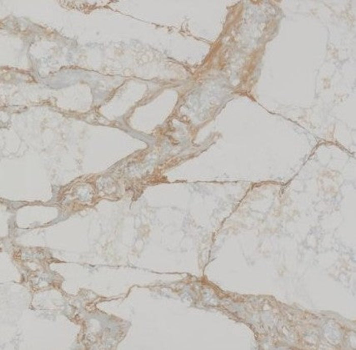 Calacatta Caldia Quartz