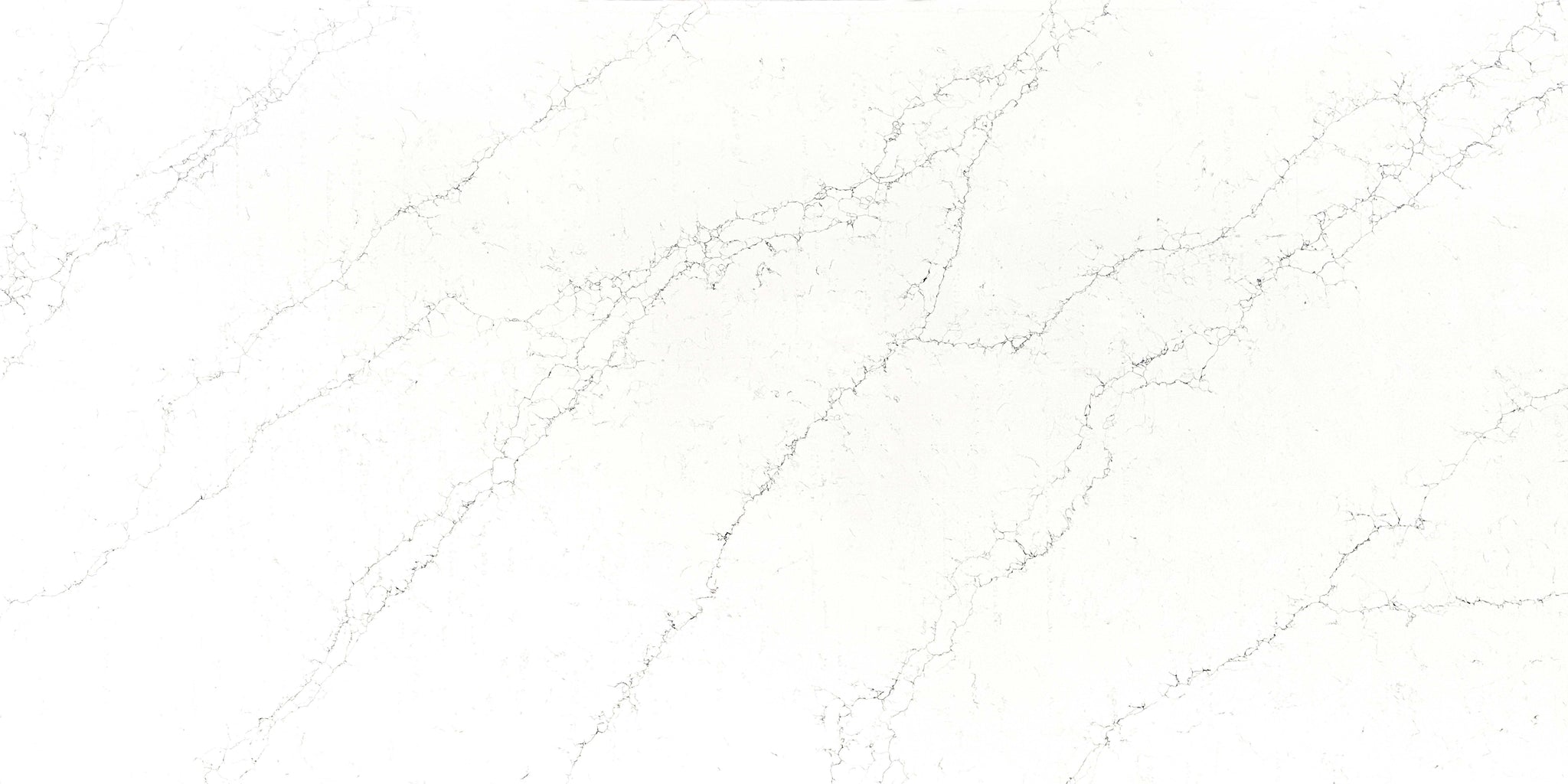 Calacatta Alaska Bianco Quartz